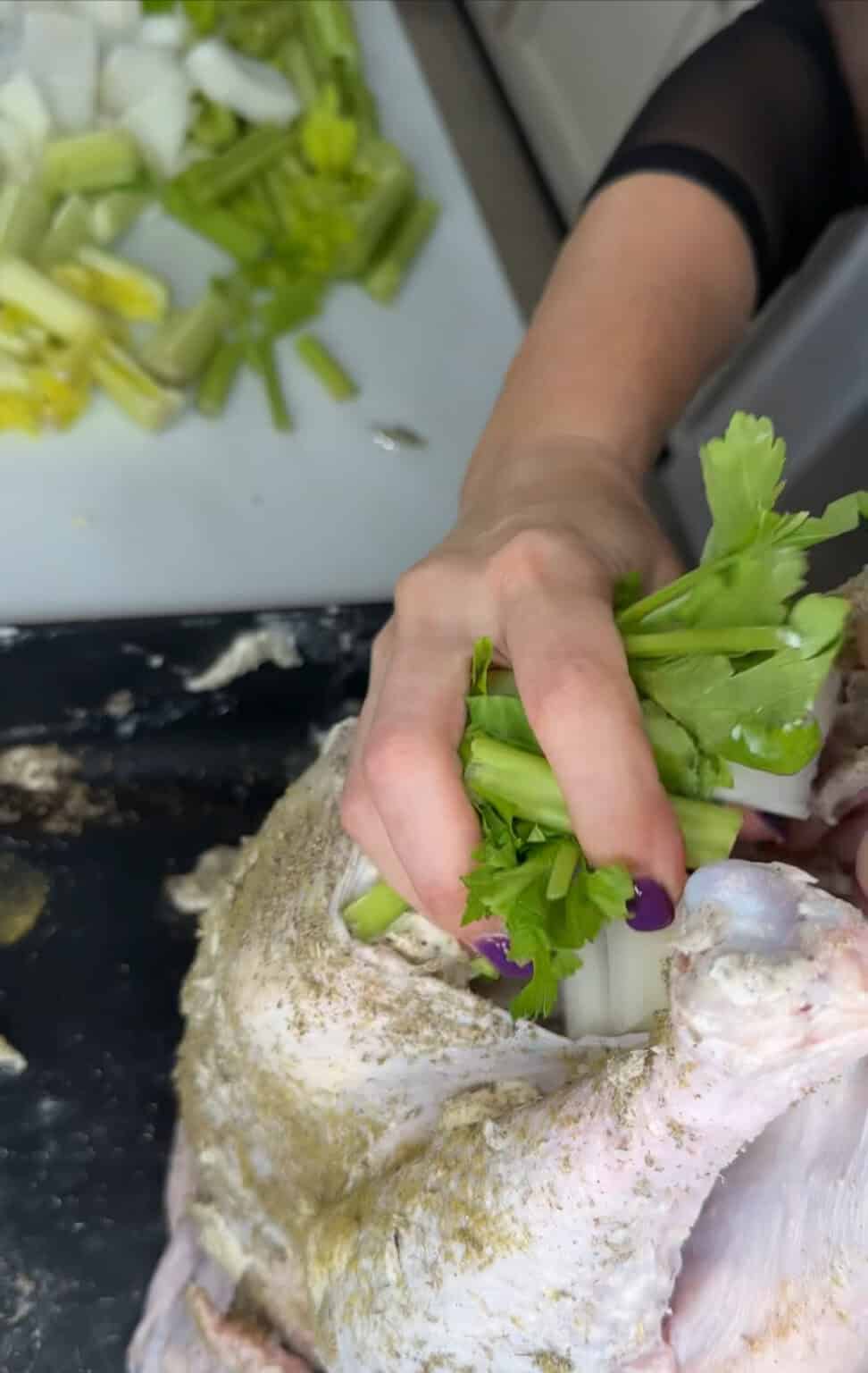 Turkey 🦃 - Melissa Jo Real Recipes