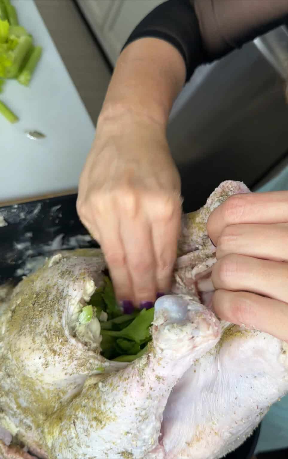 Turkey 🦃 - Melissa Jo Real Recipes