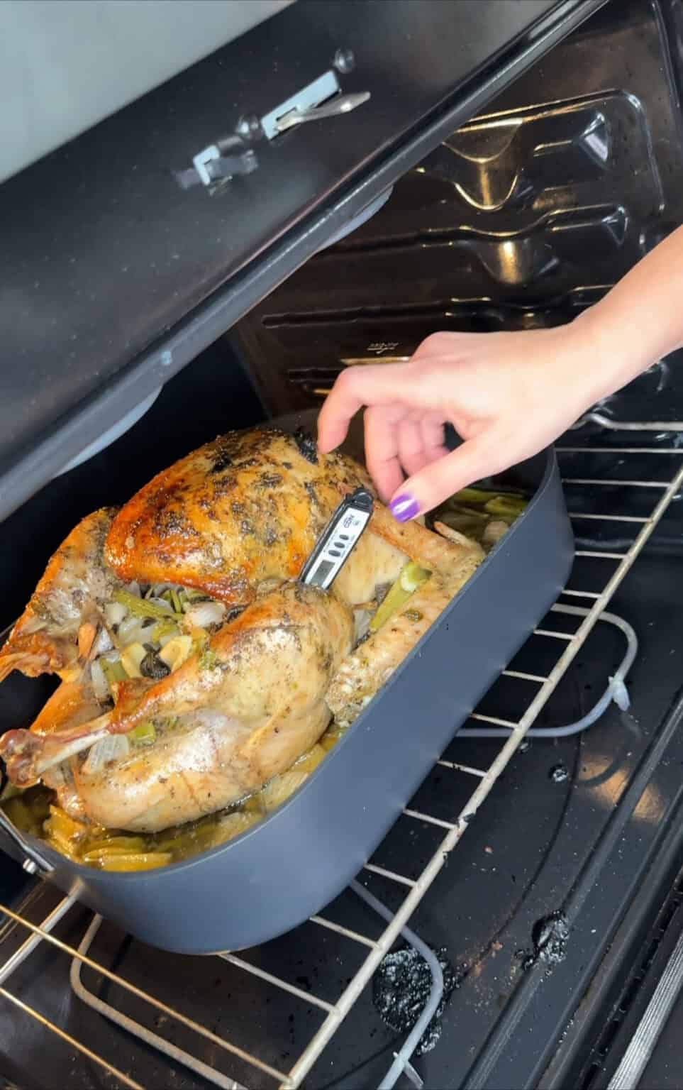Turkey 🦃 - Melissa Jo Real Recipes
