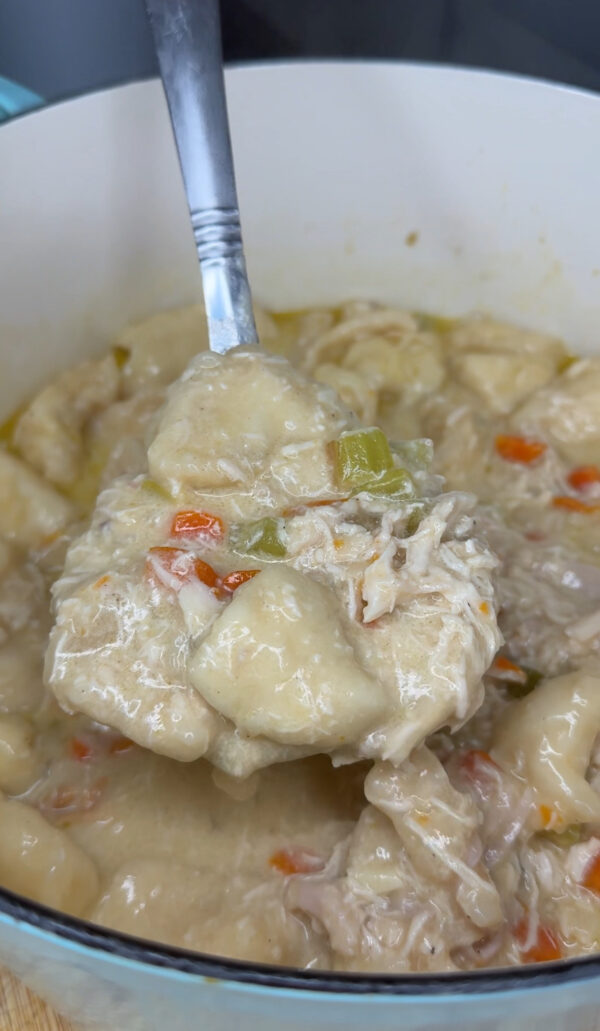 Easy Chicken and Dumplings 🥟 - Melissa Jo Real Recipes