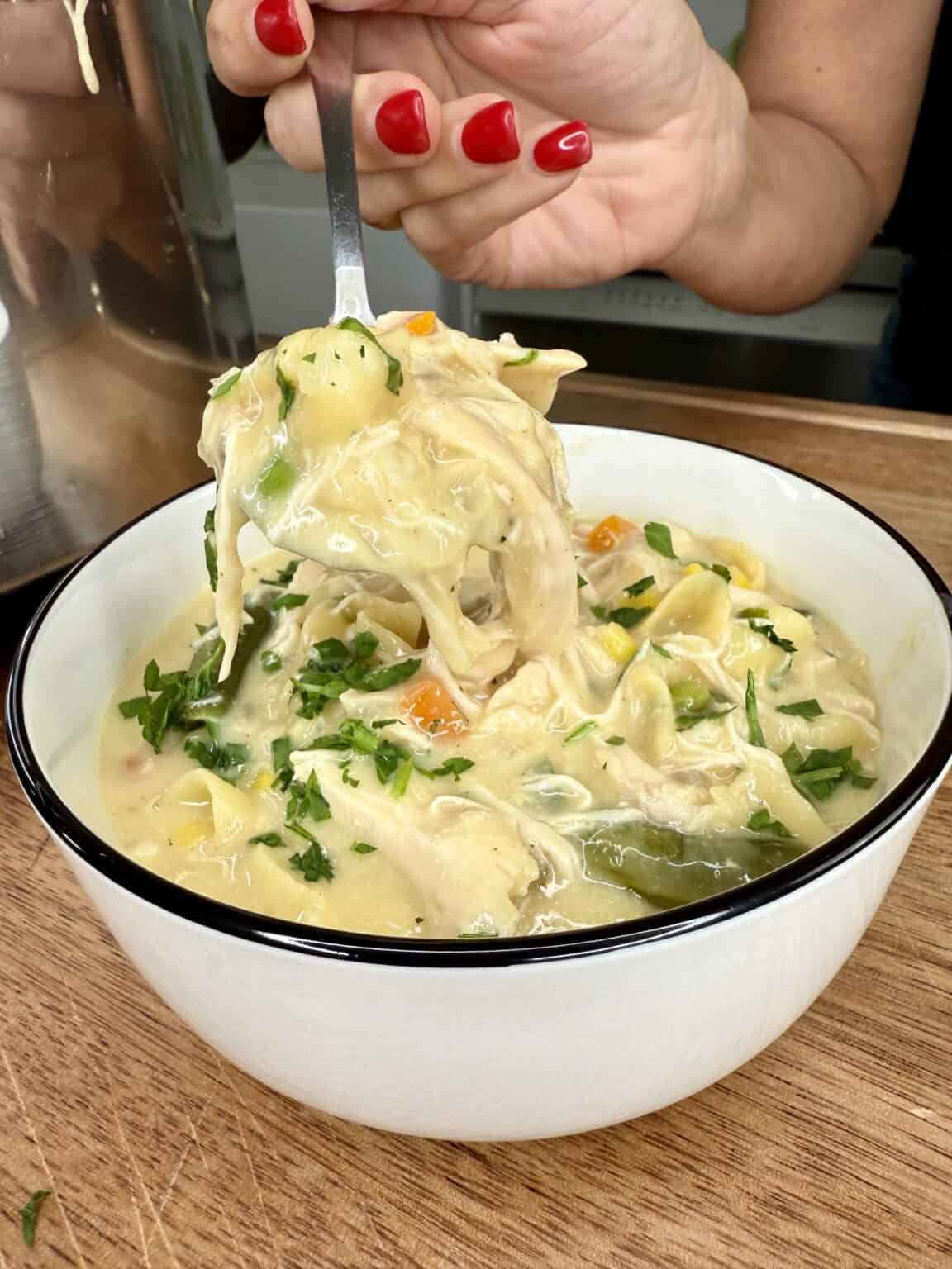 Creamy Crockpot Chicken and Noodles - Melissa Jo Real Recipes